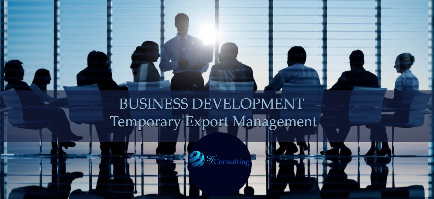 Business Development - Temporary Export Management